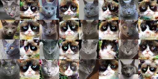 When Cats meet GANs | Linji Wang